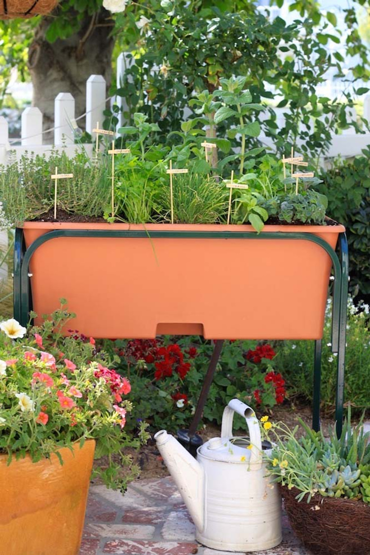 Garden in the Backyard: How to Do It, what to Plant, and 50 Ideas for ...