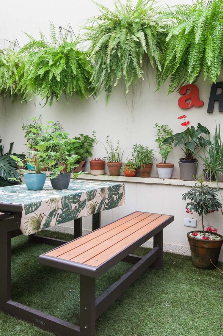 Garden in the Backyard: How to Do It, what to Plant, and 50 Ideas for ...