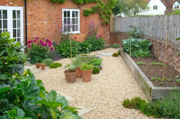 Garden in the Backyard: How to Do It, what to Plant, and 50 Ideas for ...