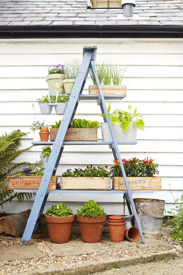 Garden in the Backyard: How to Do It, what to Plant, and 50 Ideas for ...