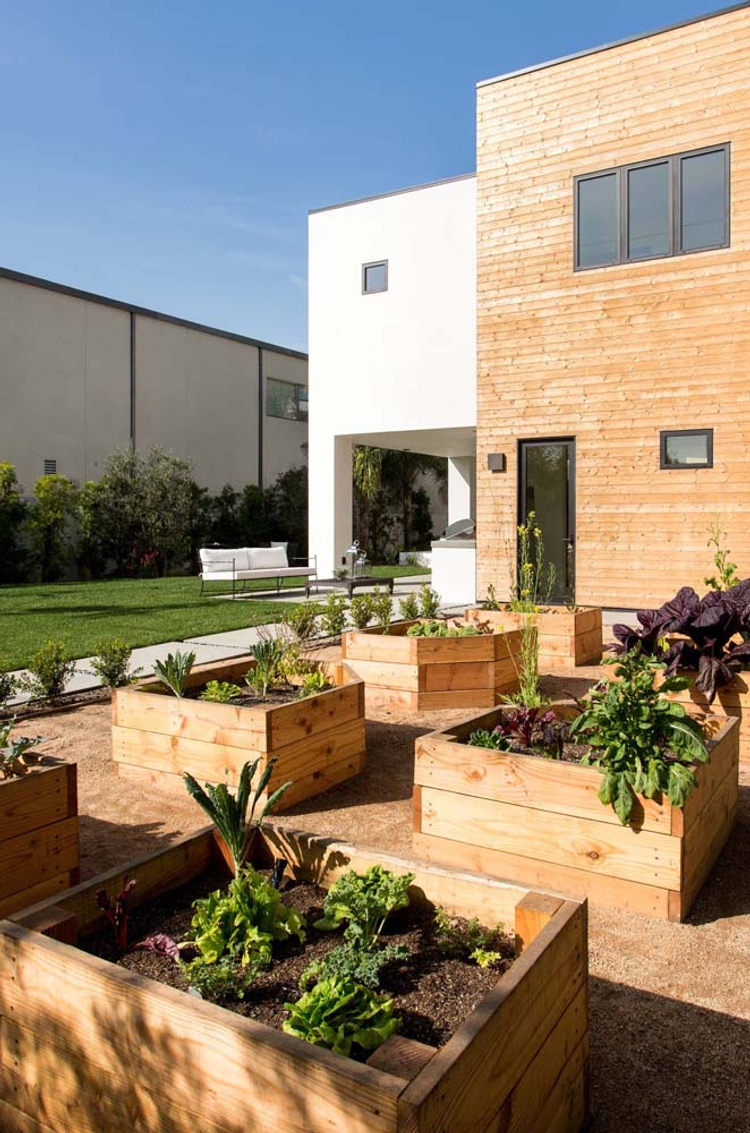 Garden in the Backyard: How to Do It, what to Plant, and 50 Ideas for ...