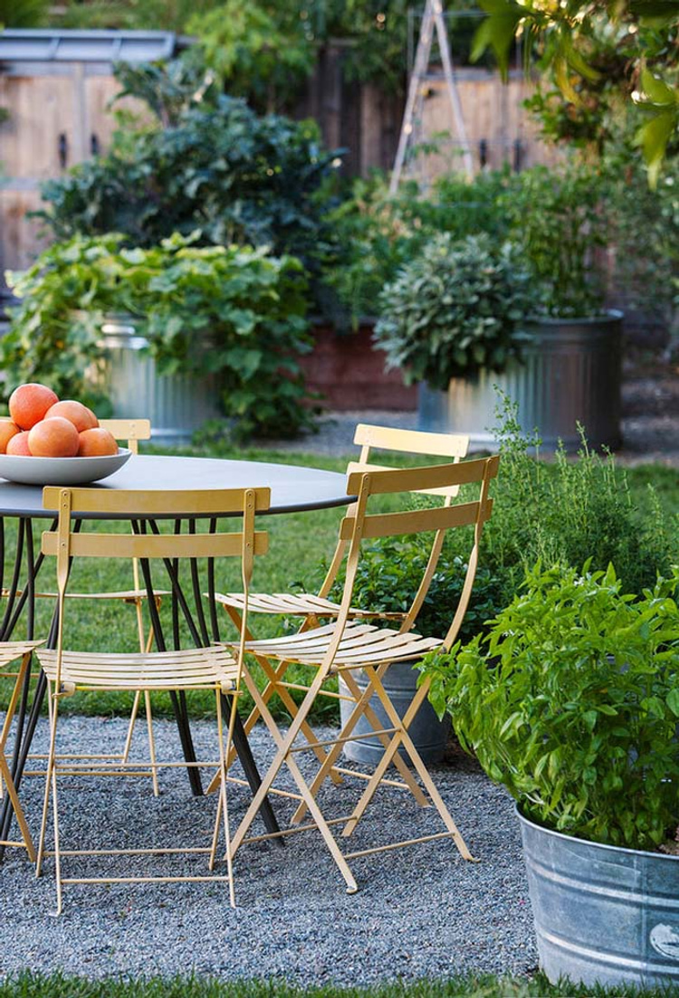 Garden in the Backyard: How to Do It, what to Plant, and 50 Ideas for ...