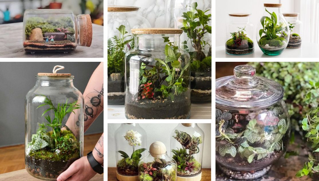 Decorating the walls in a country house - 40 inspirational ideas to ...