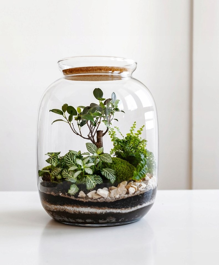 Closed Terrarium: Ideal Plants, Glasses That Match, and Easy Tutorial ...