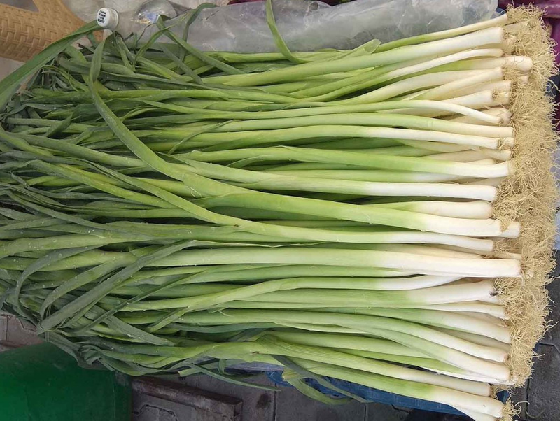Leek: Secrets for Cultivation in the garden and in a pot | My desired home