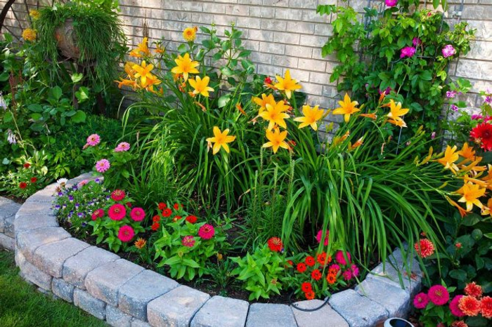Perennial flower bed for beginners: 53 design and ready-made schemes ...
