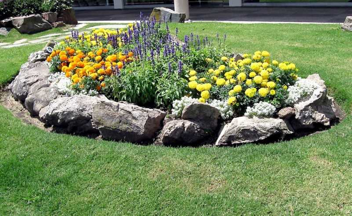 Perennial flower bed for beginners: 53 design and ready-made schemes ...