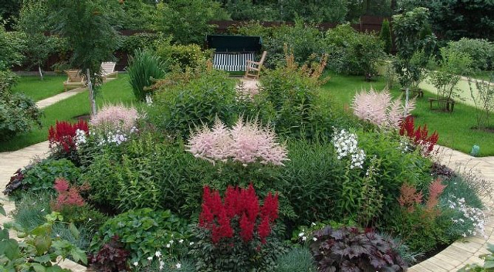 Perennial flower bed for beginners: 53 design and ready-made schemes ...