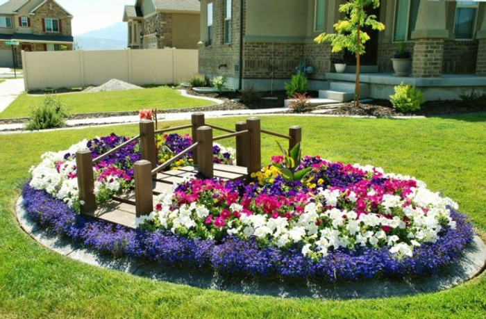 Perennial flower bed for beginners: 53 design and ready-made schemes ...
