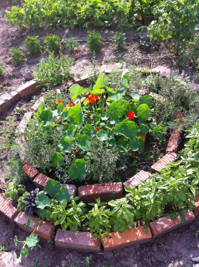Perennial flower bed for beginners: 53 design and ready-made schemes ...