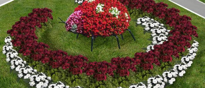 Perennial flower bed for beginners: 53 design and ready-made schemes ...