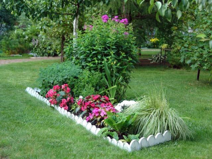 Perennial flower bed for beginners: 53 design and ready-made schemes for inspiration | My ...