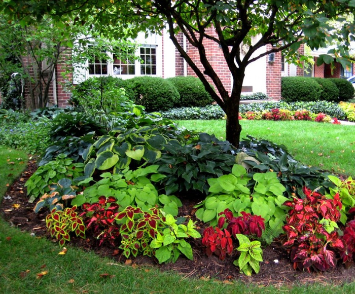 Perennial flower bed for beginners: 53 design and ready-made schemes ...