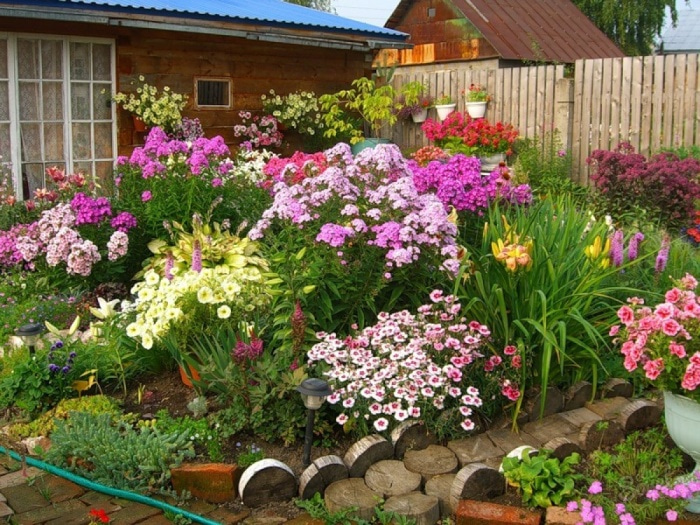 Perennial flower bed for beginners: 53 design and ready-made schemes ...