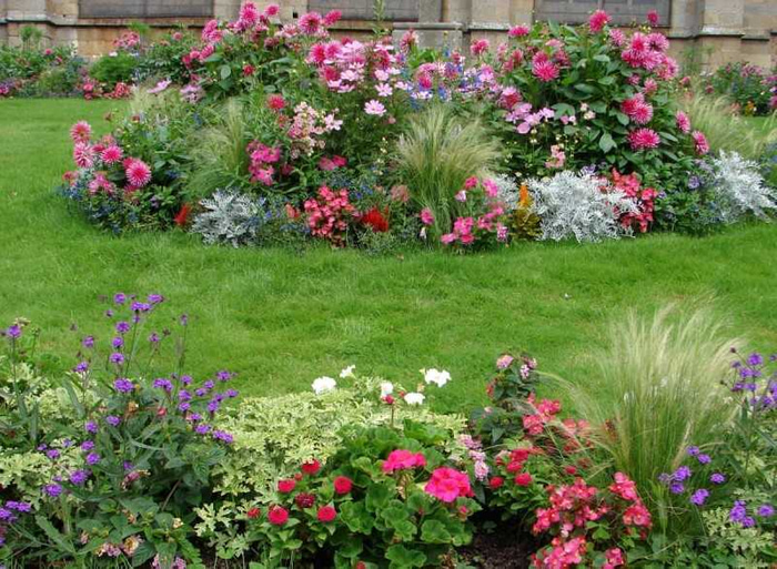 Perennial flower bed for beginners: 53 design and ready-made schemes ...