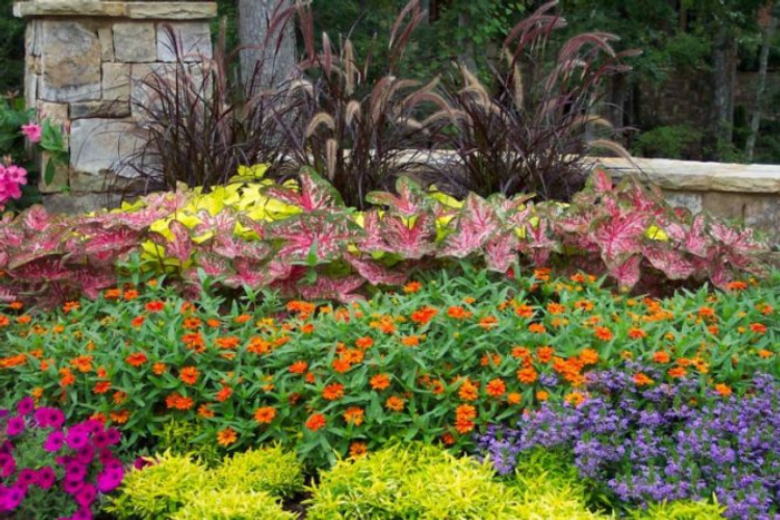 Perennial flower bed for beginners: 53 design and ready-made schemes ...