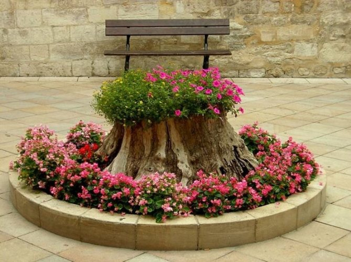 Perennial flower bed for beginners: 53 design and ready-made schemes ...