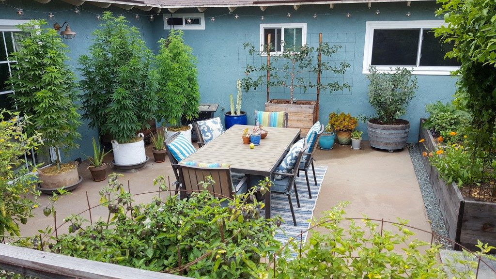 38 Amazing ideas to create a small chill-out zone in your yard and ...