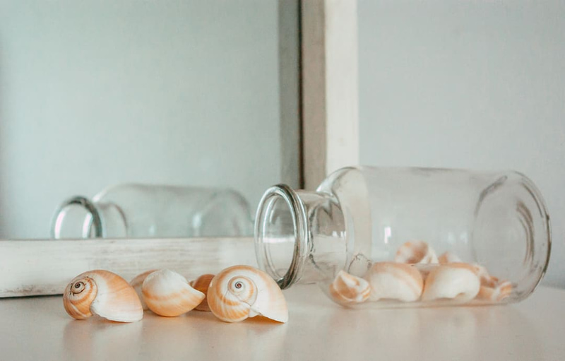 Vases with Shells in the interior design – 40 Inspirational Ideas | My ...