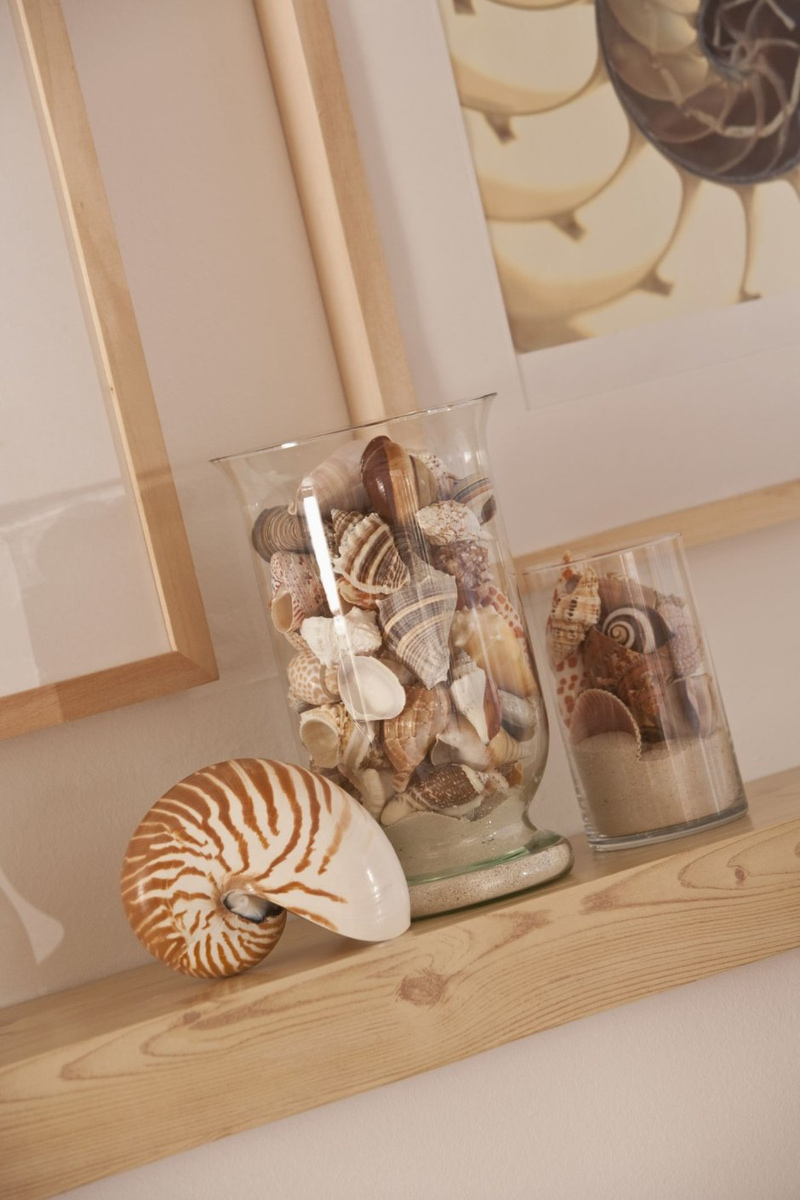Vases with Shells in the interior design – 40 Inspirational Ideas | My ...