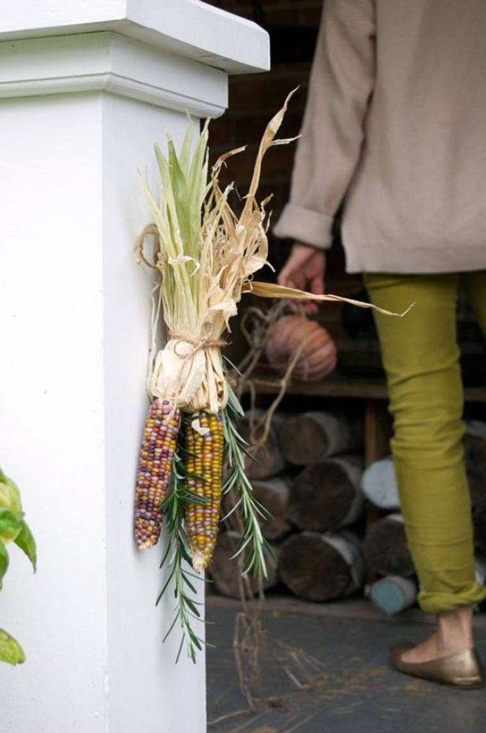 Perfect fall decorating ideas with dried corn | My desired home