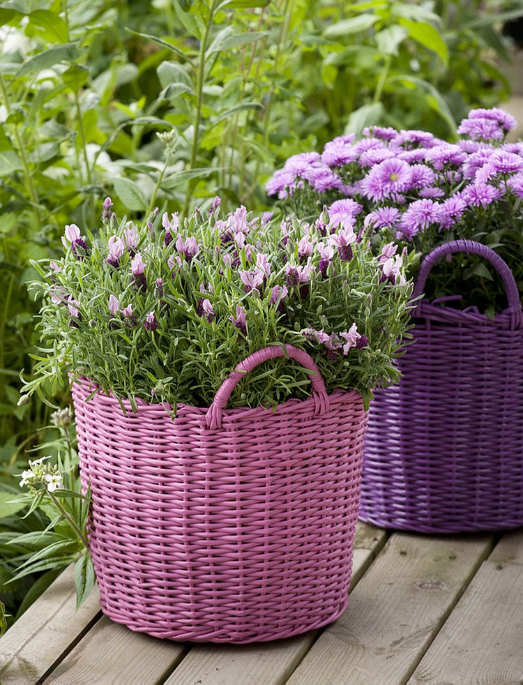 Transform Your Outdoor Space: Plant Flowers in Wicker Baskets for a ...