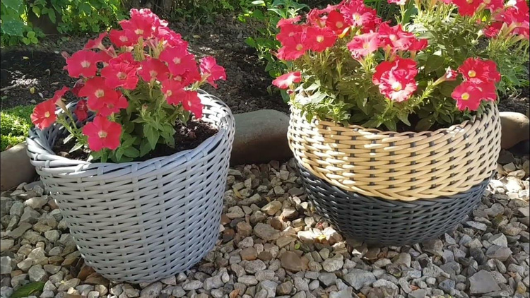 Transform Your Outdoor Space: Plant Flowers in Wicker Baskets for a ...