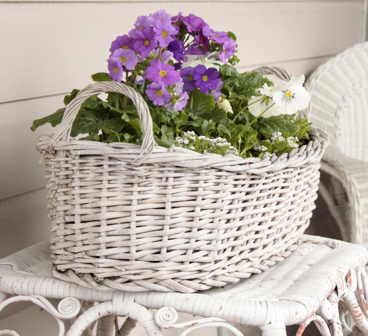 Transform Your Outdoor Space: Plant Flowers in Wicker Baskets for a ...