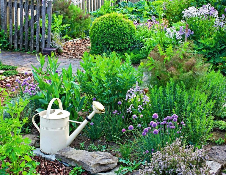 Guide to Creating Stunning Herb Gardens in Your Cottage | My desired home