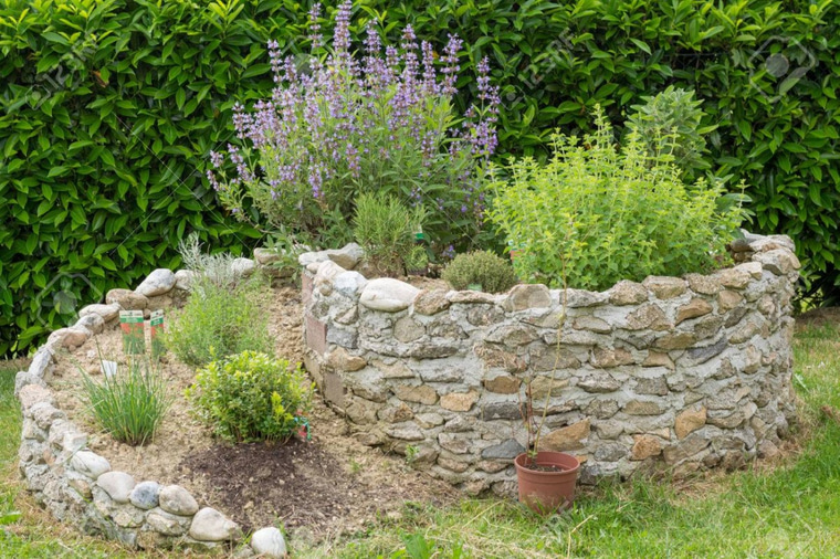 Guide to Creating Stunning Herb Gardens in Your Cottage | My desired home