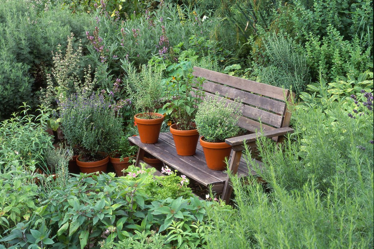 Guide to Creating Stunning Herb Gardens in Your Cottage | My desired home