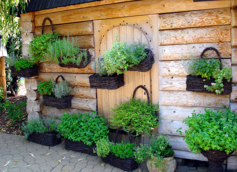 Guide to Creating Stunning Herb Gardens in Your Cottage | My desired home