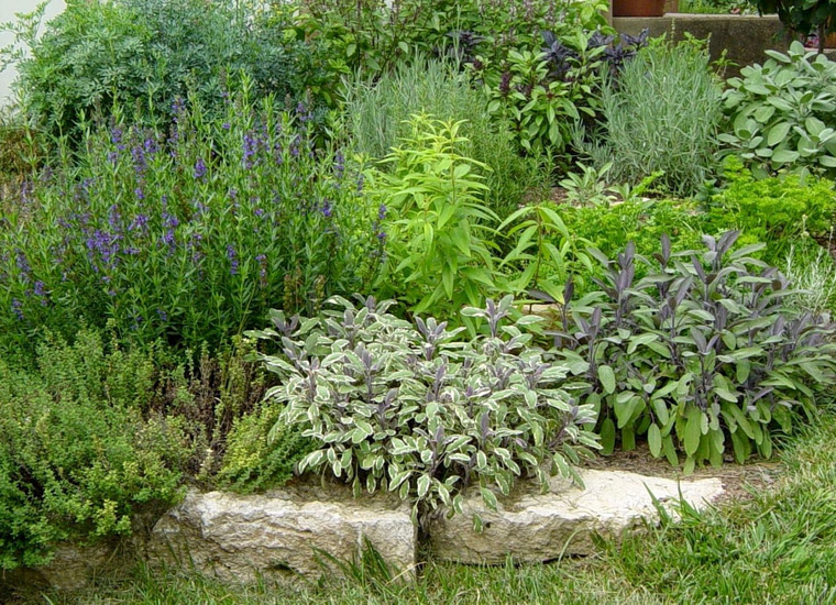 Guide to Creating Stunning Herb Gardens in Your Cottage | My desired home
