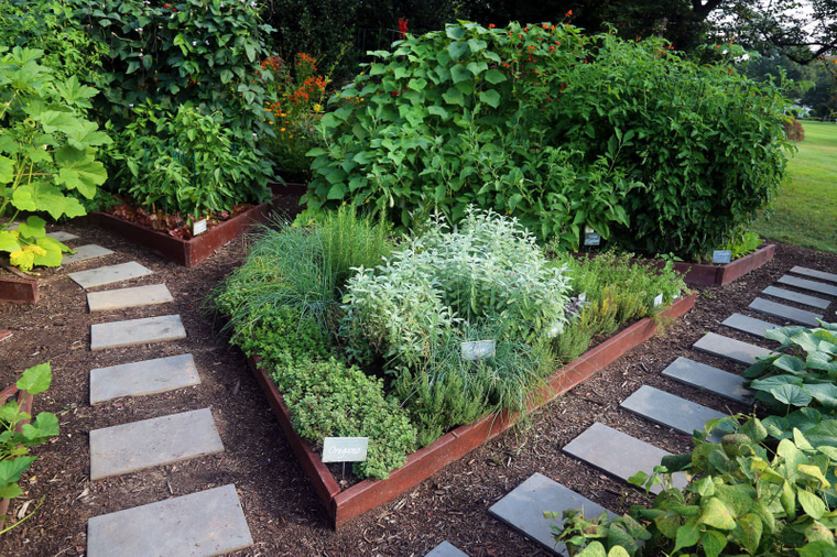 Guide to Creating Stunning Herb Gardens in Your Cottage | My desired home