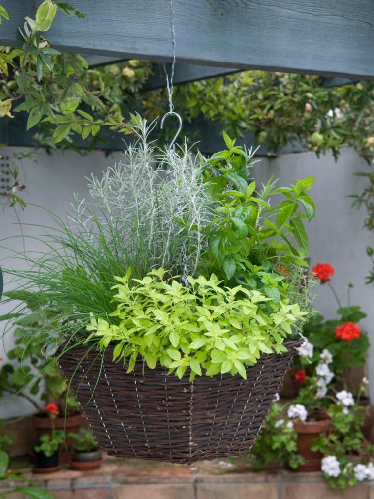 Guide to Creating Stunning Herb Gardens in Your Cottage | My desired home
