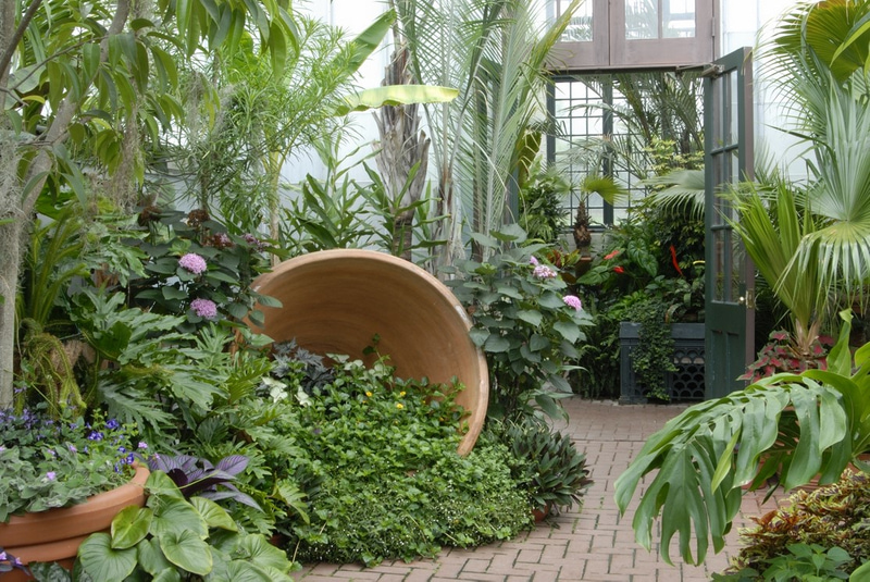 Small Garden: Tips to Create Your Own Green Haven | My desired home