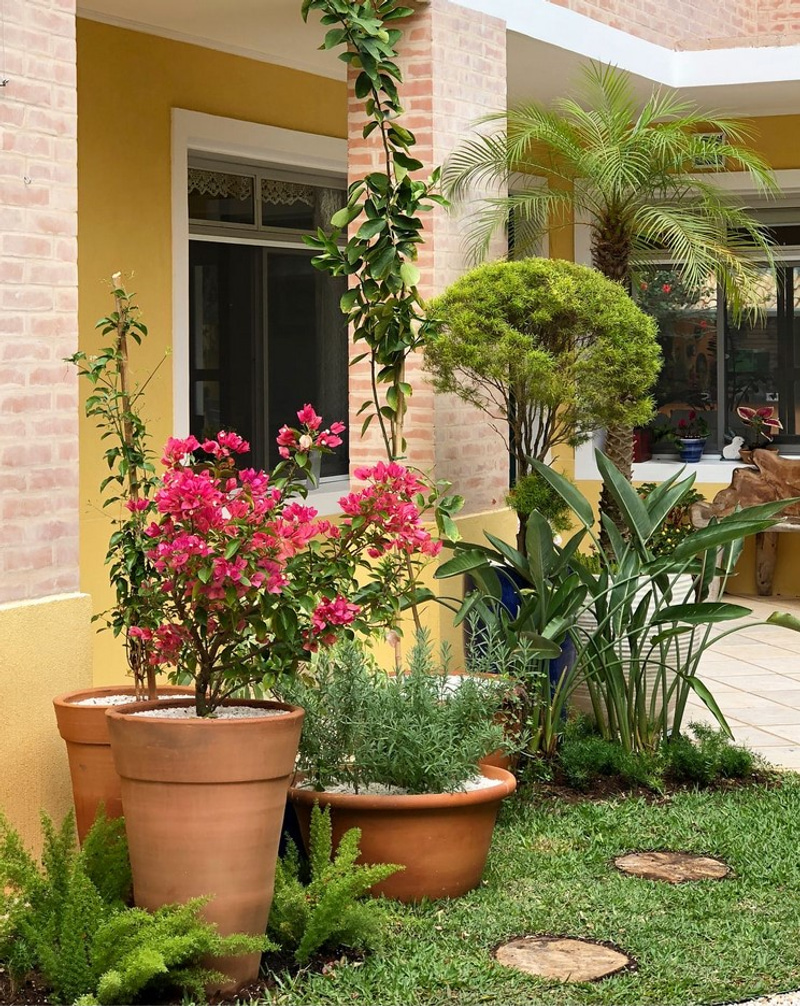 Small Garden: Tips to Create Your Own Green Haven | My desired home