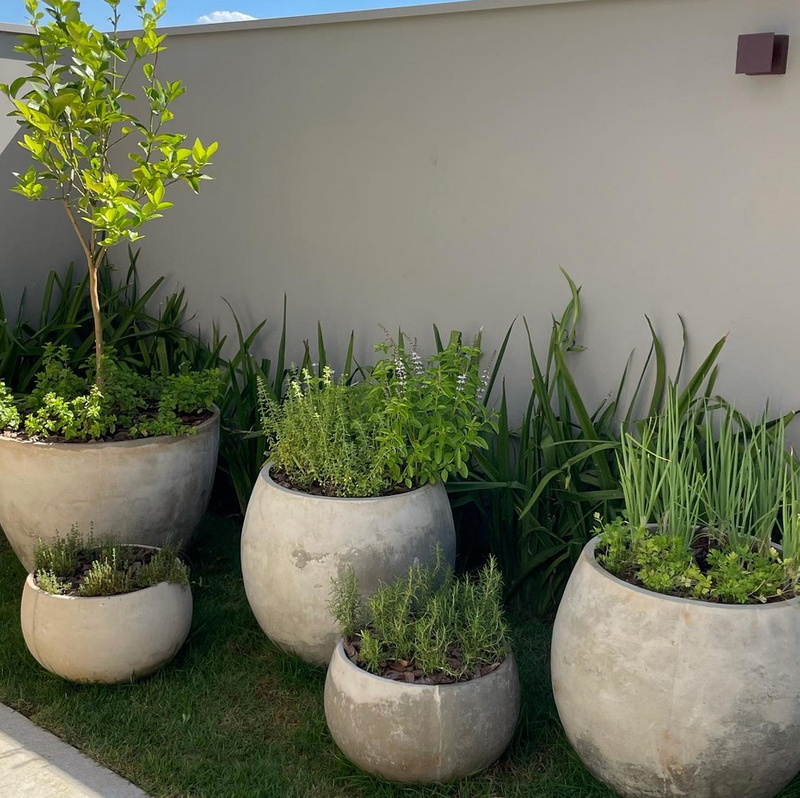 Small Garden: Tips to Create Your Own Green Haven | My desired home