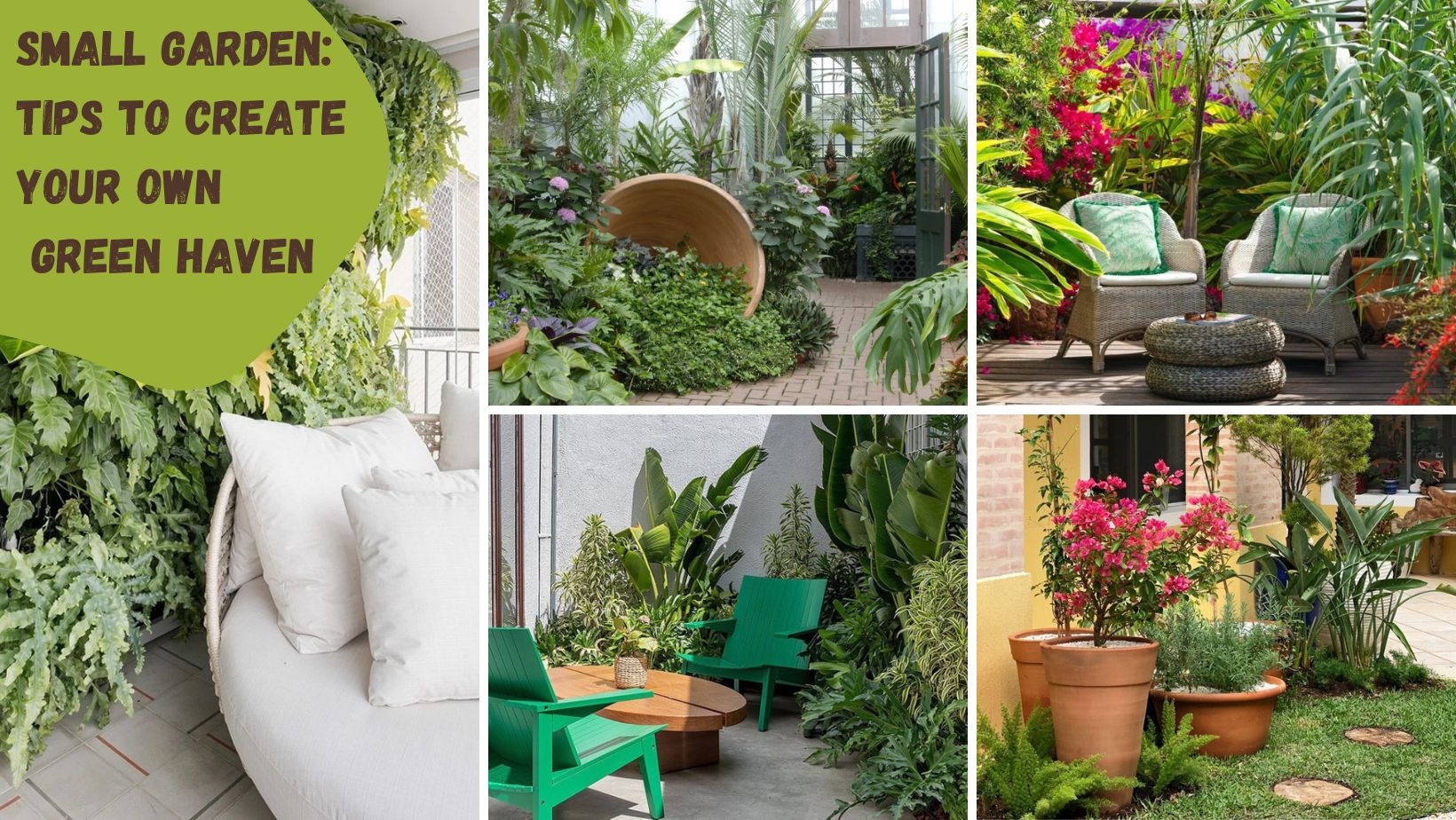 Small Garden: Tips to Create Your Own Green Haven | My desired home