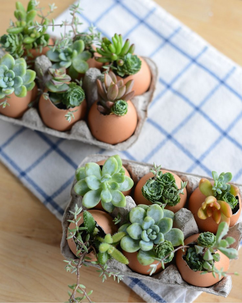Eggshell Crafts & Decorations for Spring: An Eco-Friendly Creative Guide | My desired home