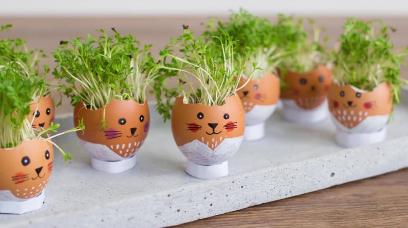 Eggshell Crafts & Decorations for Spring: An Eco-Friendly Creative ...