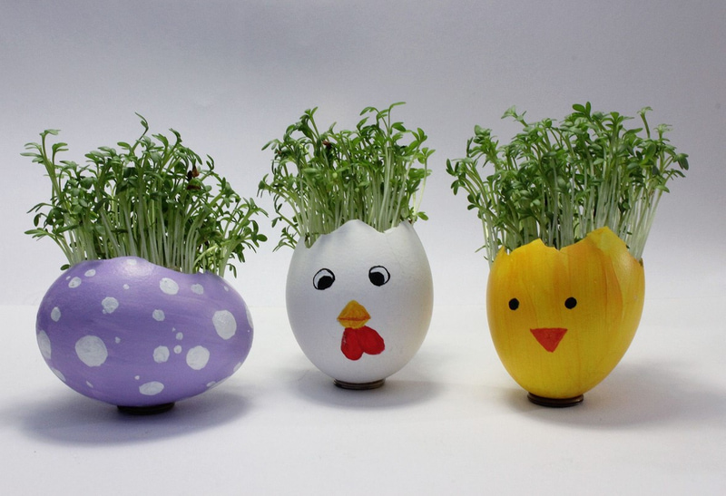 Eggshell Crafts & Decorations for Spring: An Eco-Friendly Creative ...