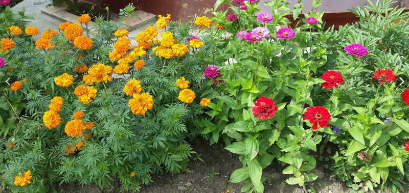 88 Ideas for a Vibrant Small Garden | My desired home