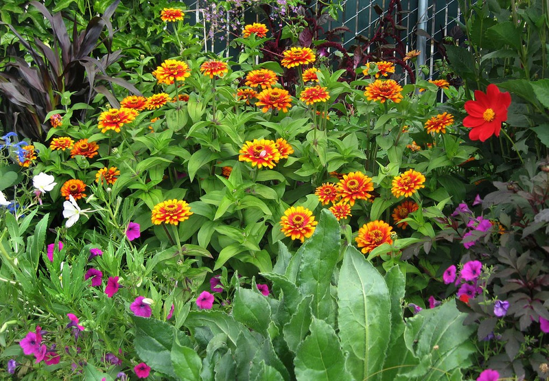 88 Ideas for a Vibrant Small Garden | My desired home