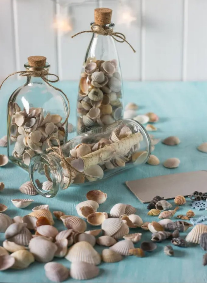 52 DIY Seashell Decor Ideas That Will Make Your Home Shine | My desired ...