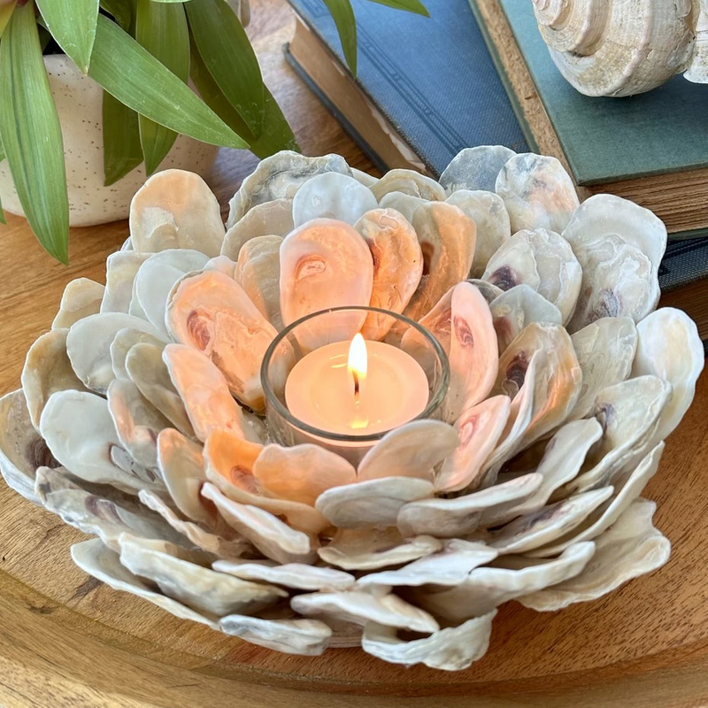 52 DIY Seashell Decor Ideas That Will Make Your Home Shine | My desired ...