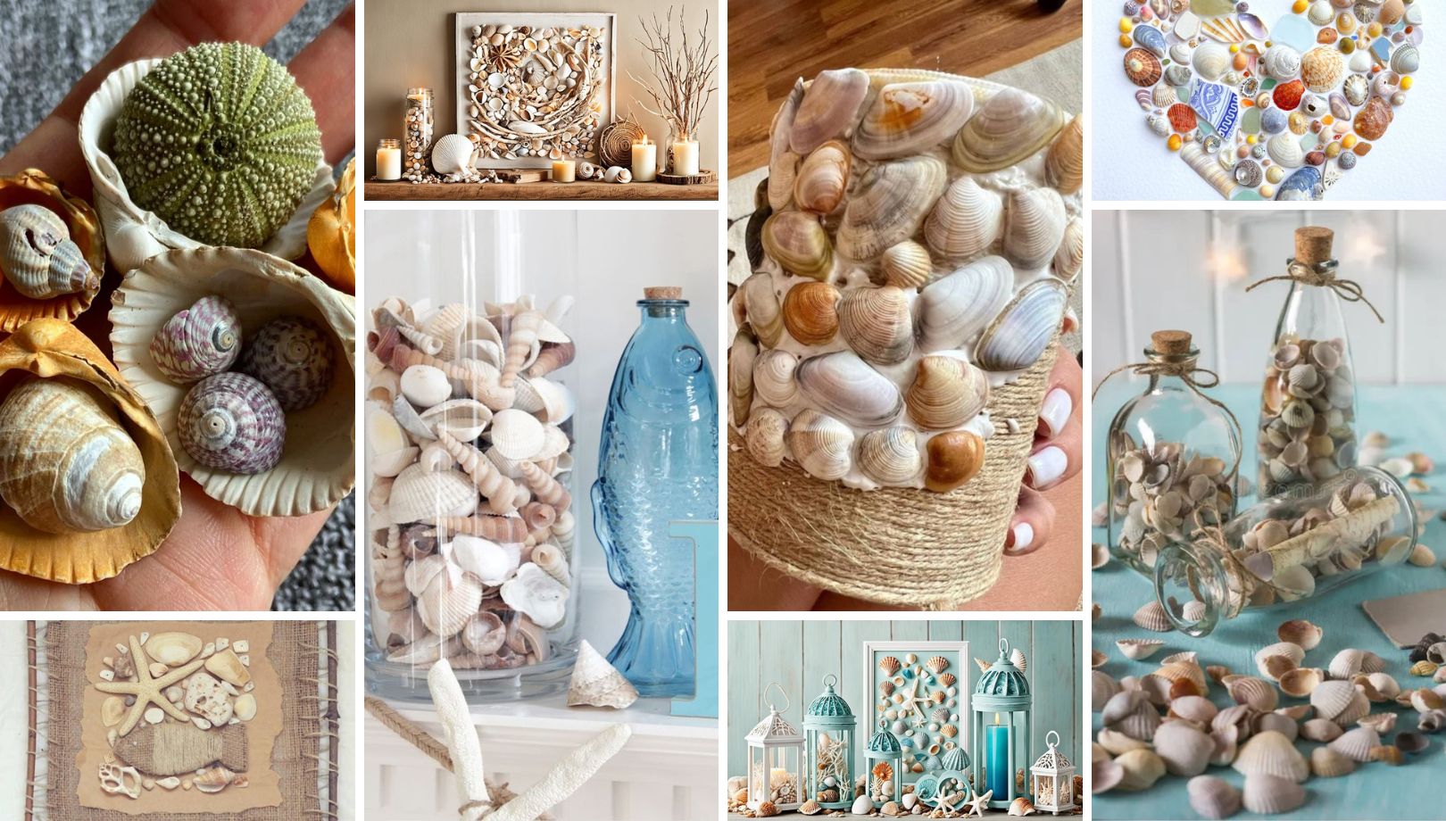 52 DIY Seashell Decor Ideas That Will Make Your Home Shine | My desired ...