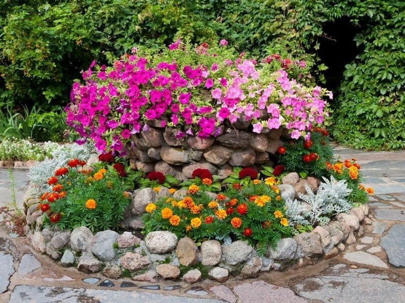 Creating a rock garden – modern ideas and practical tips
