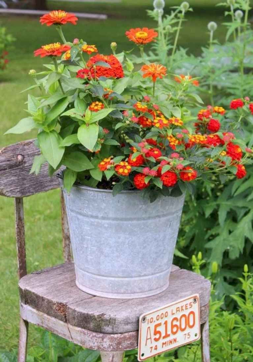 Flowers in a Bucket: Creative Ideas for a Rustic Blooming Yard and Garden